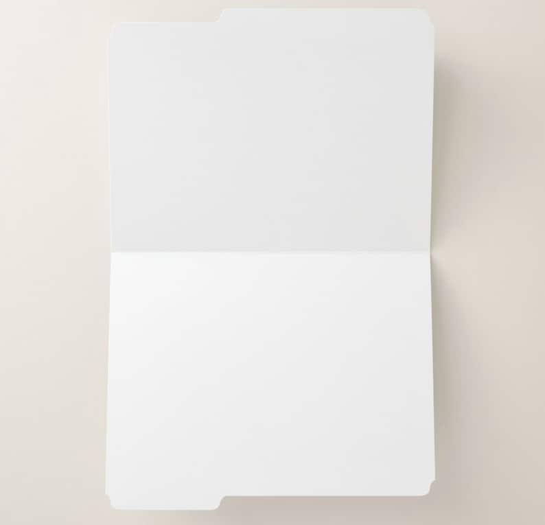 File Folders: French Wallpaper Floral Pink - Etsy