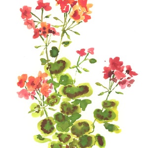 Geranium Print Set (pink Geranium and Red Geranium) {cute Wall Art ...