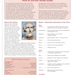 The Iliad - Study Guide With Answer Key - Etsy