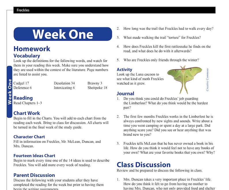 Freckles - Study Guide With Answer Key - Etsy