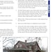 A Girl of the Limberlost - Study Guide With Answer Key - Etsy