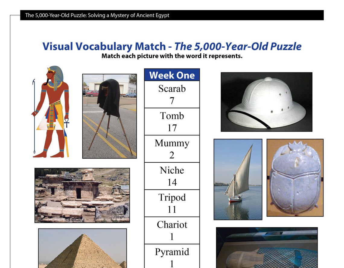 The 5,000-year-old Puzzle - Study Guide With Answer Key - Etsy