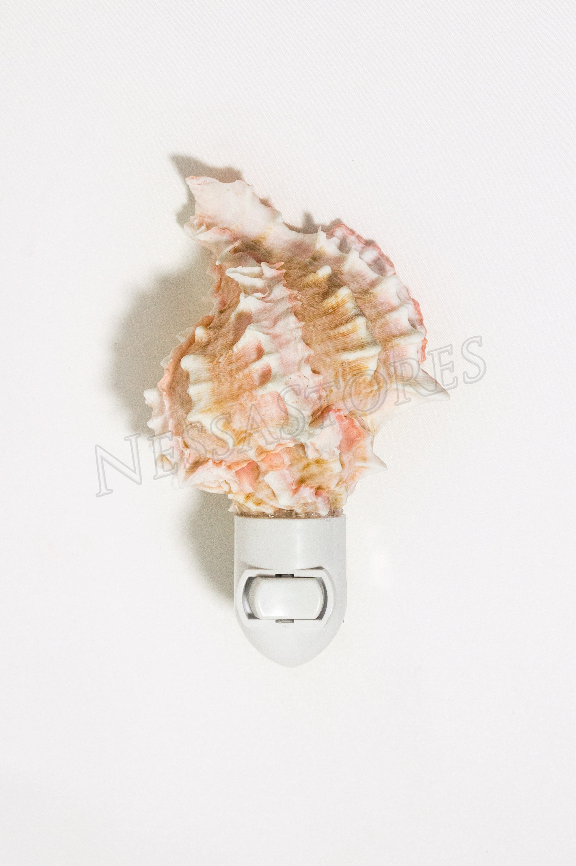 Nessastores Pink Murex Sea Shell Nightlight Kitchen Bathroom | Etsy