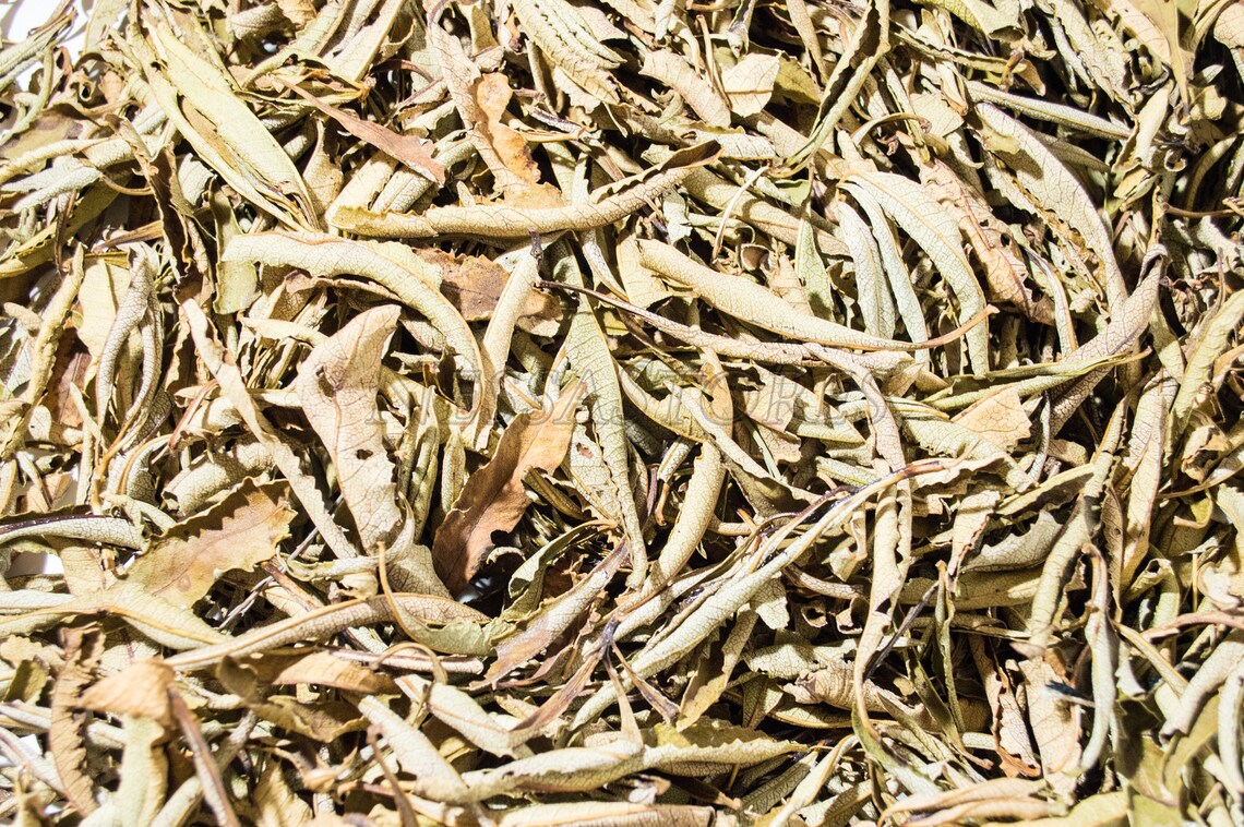 Nessastores Yerba Santa Leaves Only Incense 1/2 Pound | Etsy