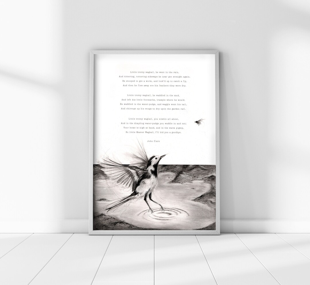 John Clare Poem Illustrated Wagtail, Black & White Drawing, Fine Art ...