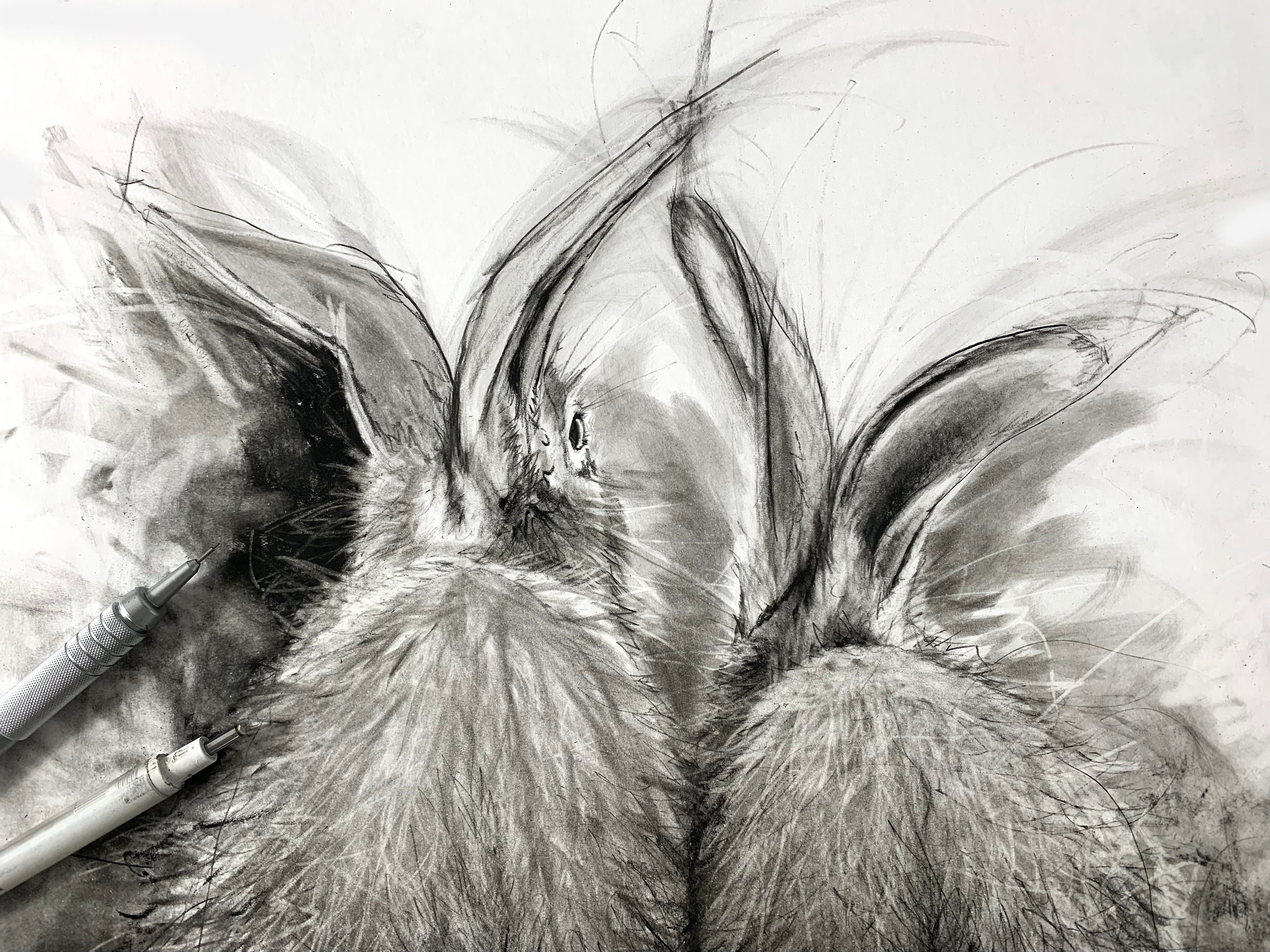 Rabbit Duo Art Print, Black & White Bunnies Drawing, Fine Art Woodland ...