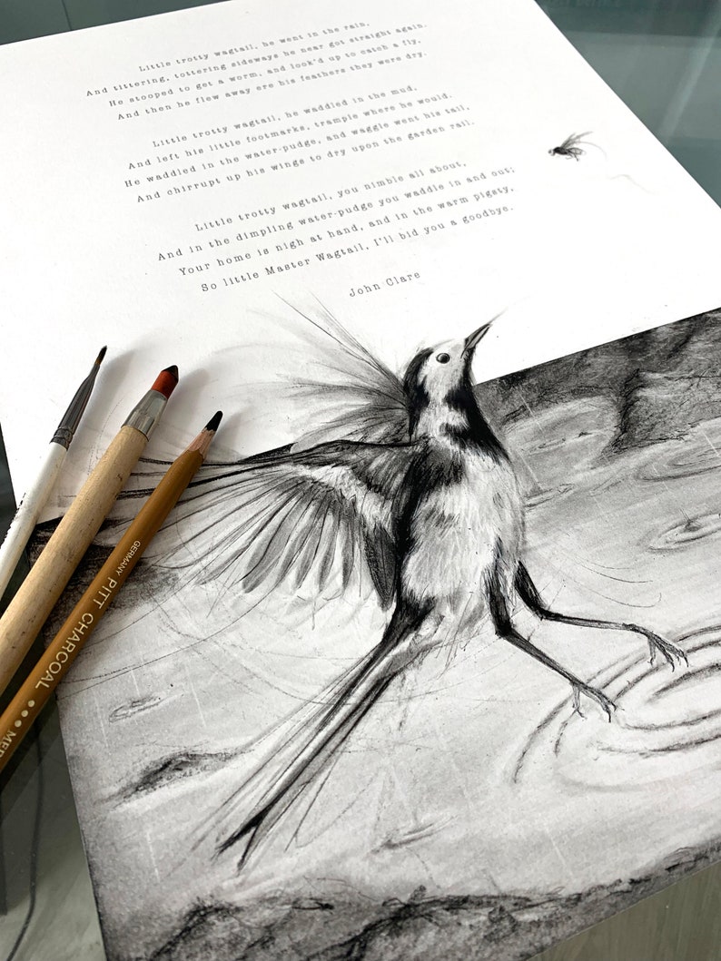 John Clare Poem Illustrated Wagtail, Black & White Drawing, Fine Art ...