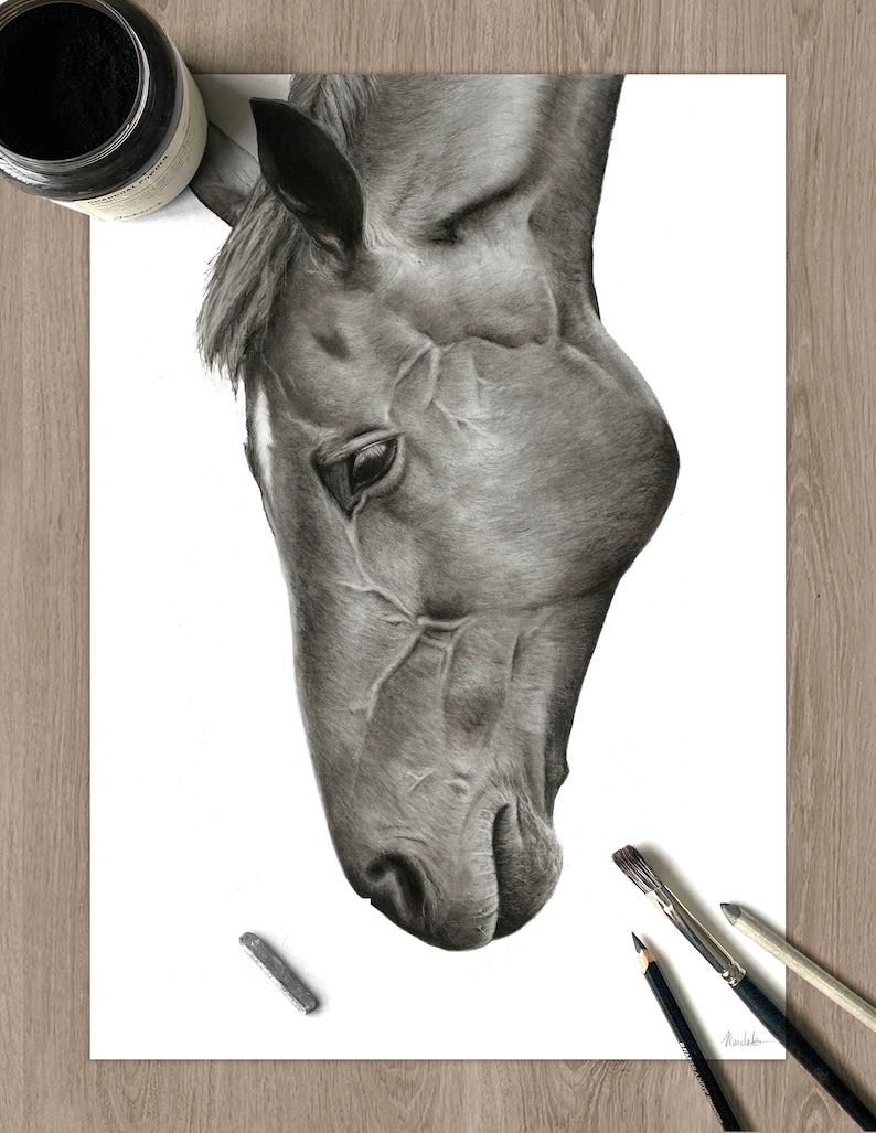 Charcoal Horse Drawing Print, Black and White Equestrian Art ...