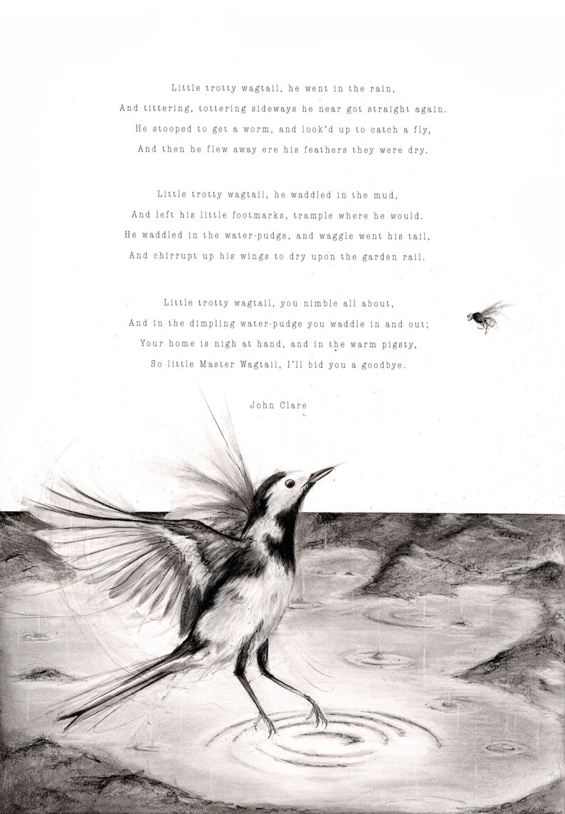 John Clare Poem Illustrated Wagtail, Black & White Drawing, Fine Art ...