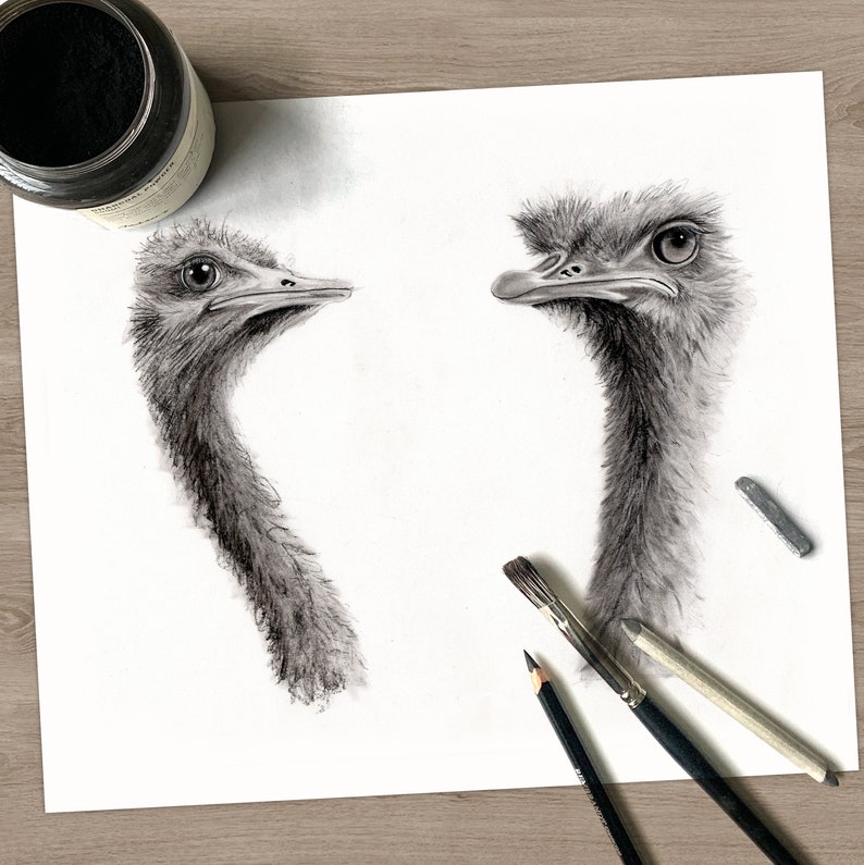 Mr Mrs Ostrich Drawing Print, Black and White Bird Art, Monochrome ...