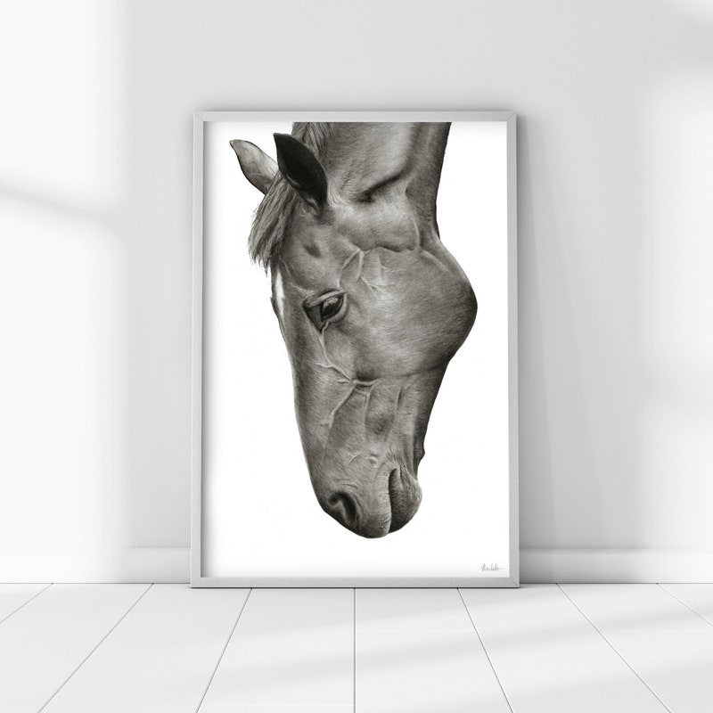 Charcoal Drawing Horse - Etsy UK