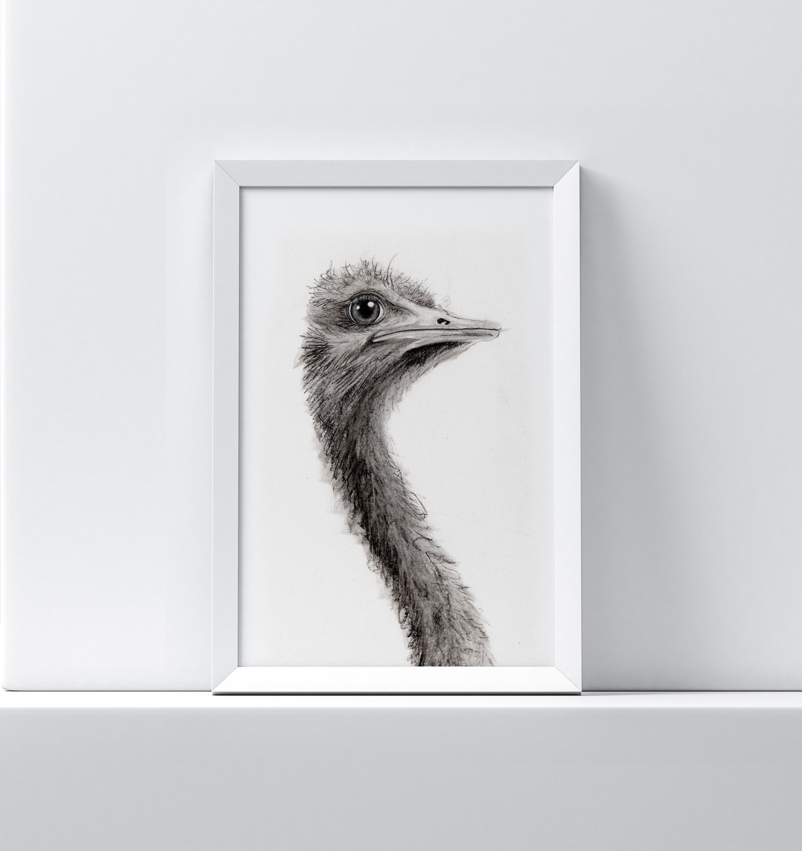 Mr Mrs Ostrich Drawing Print, Black and White Bird Art, Monochrome ...