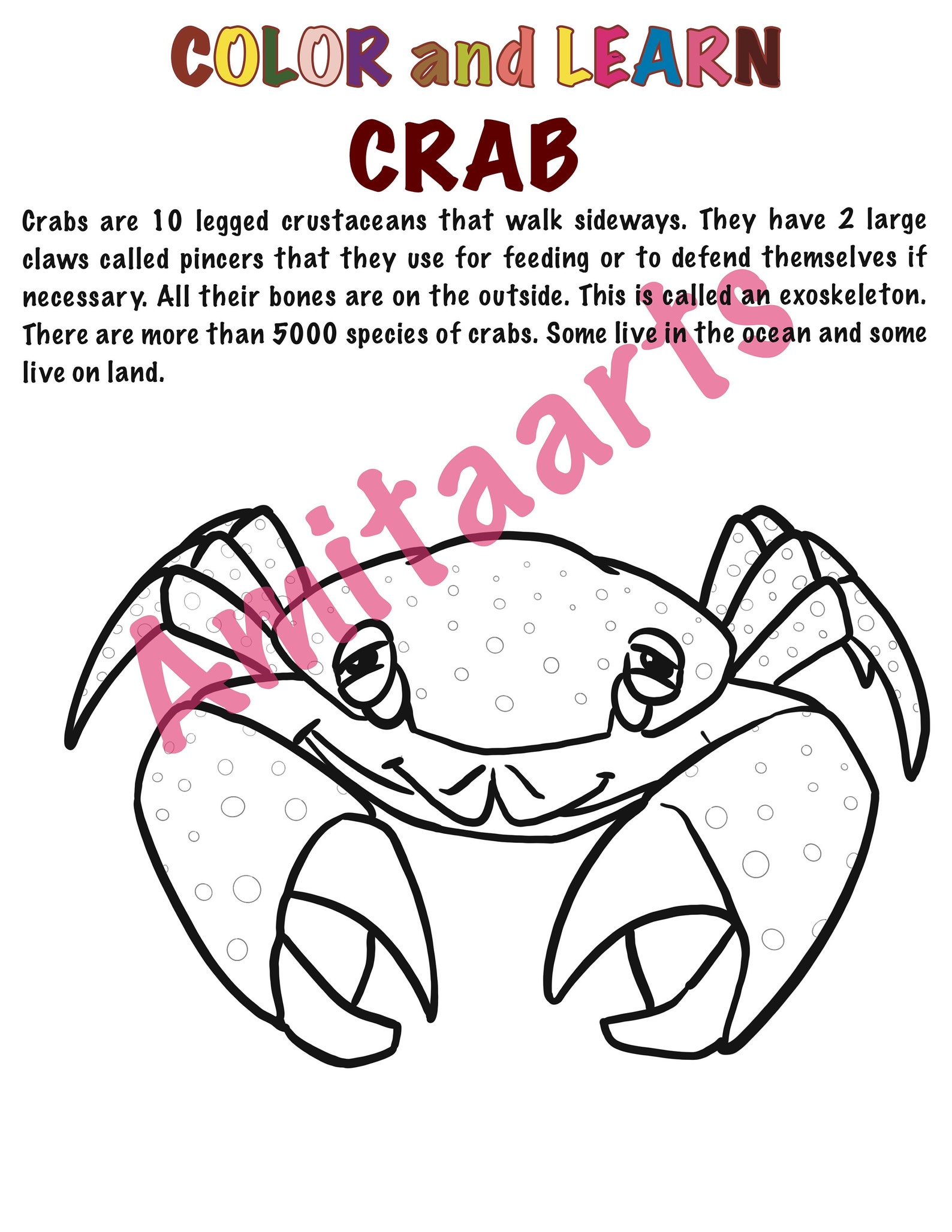 10 Sea Creatures Printable Coloring Pages Instant Download Color and ...