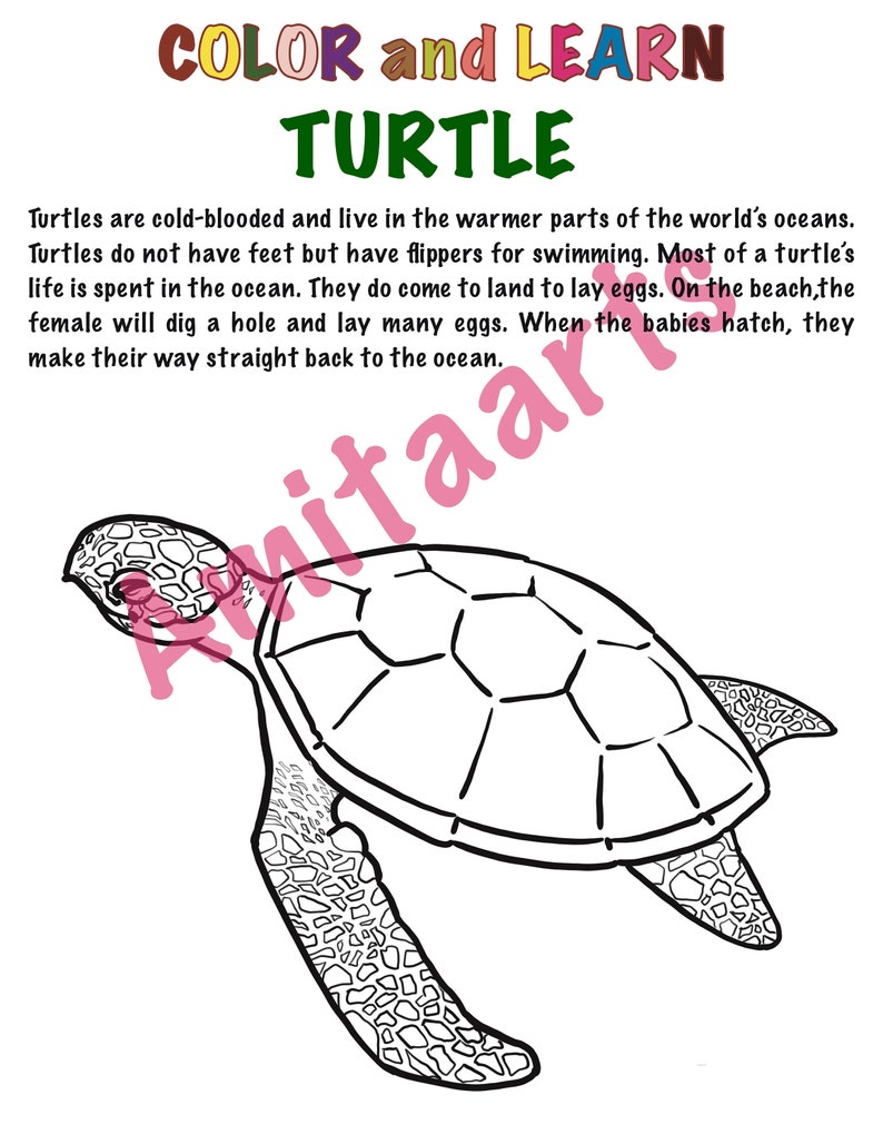 10 Sea Creatures Printable Coloring Pages Instant Download Color and ...