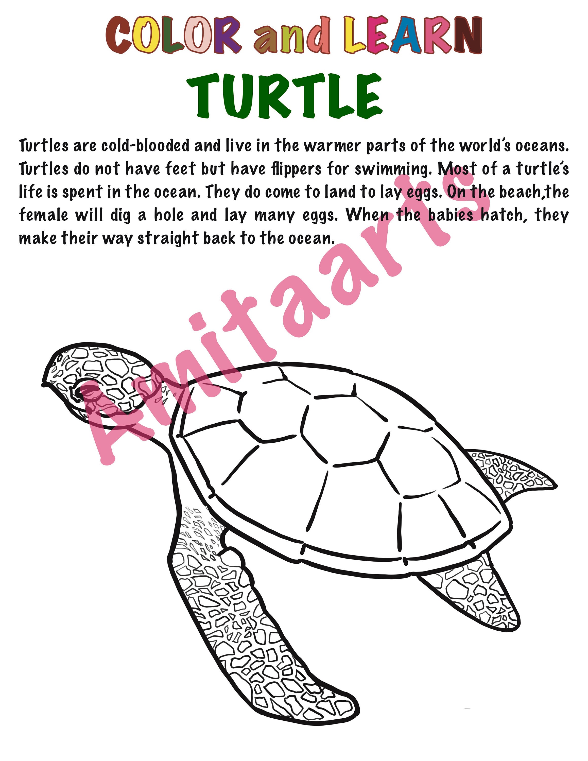 10 Sea Creatures Printable Coloring Pages Instant Download Color and ...