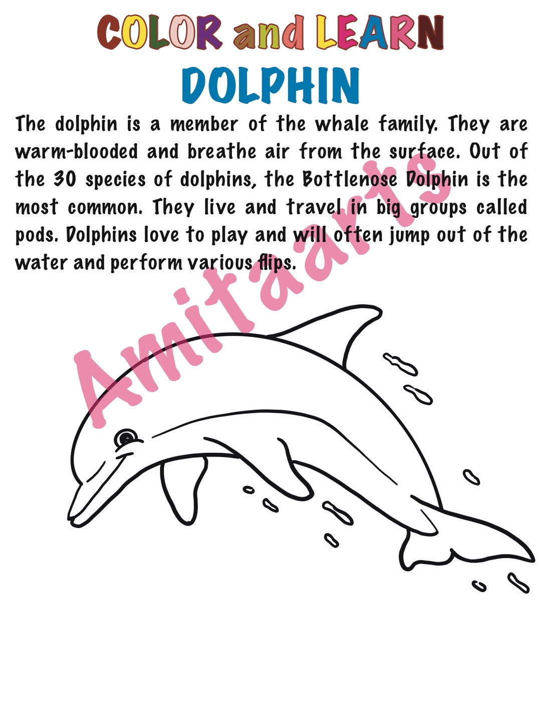 10 Sea Creatures Printable Coloring Pages Instant Download Color and ...