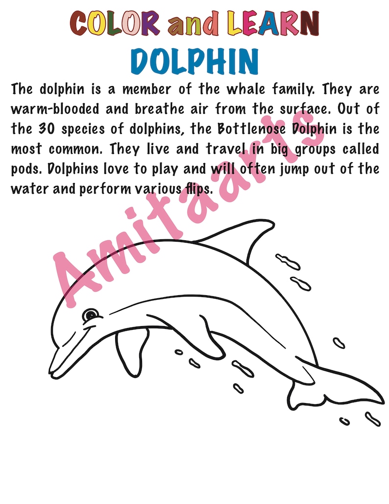 10 Sea Creatures Printable Coloring Pages Instant Download Color and ...