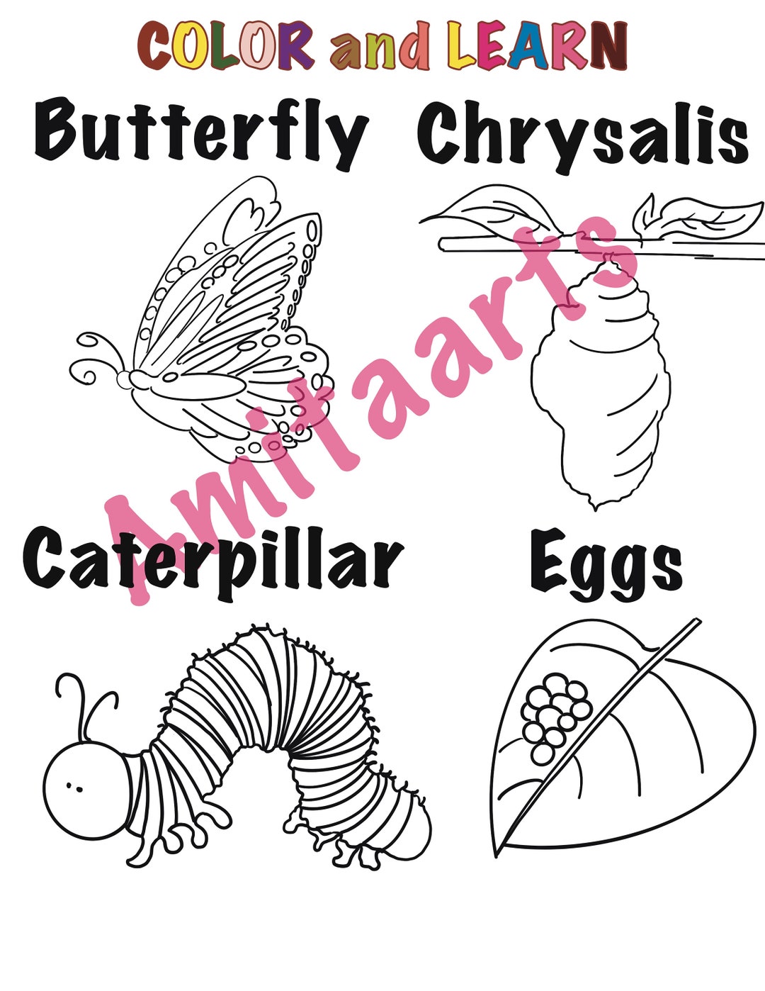 10 Coloring Pages Color and Learn Life Cycle Kids Coloring Pages ...