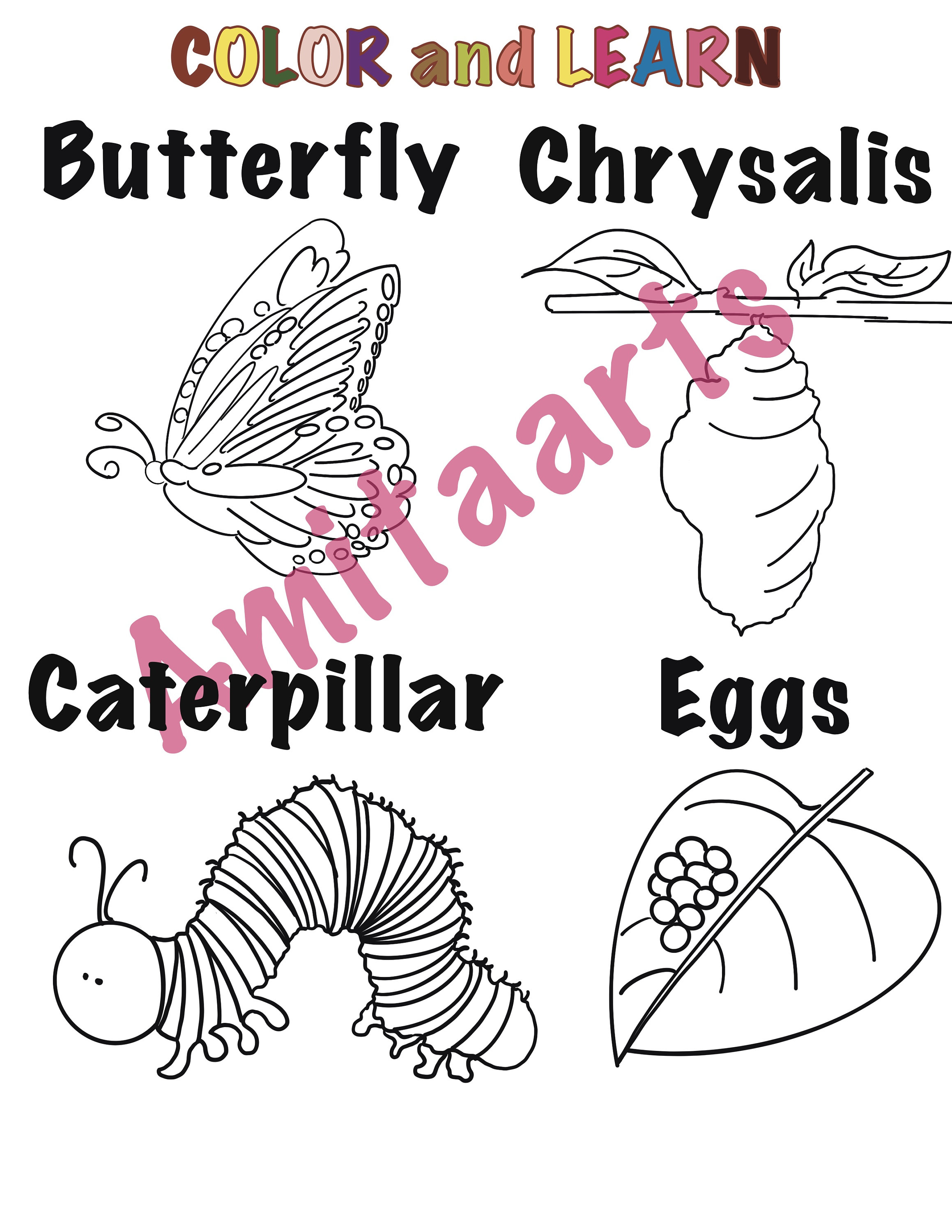 Chrysalis Coloring Pages