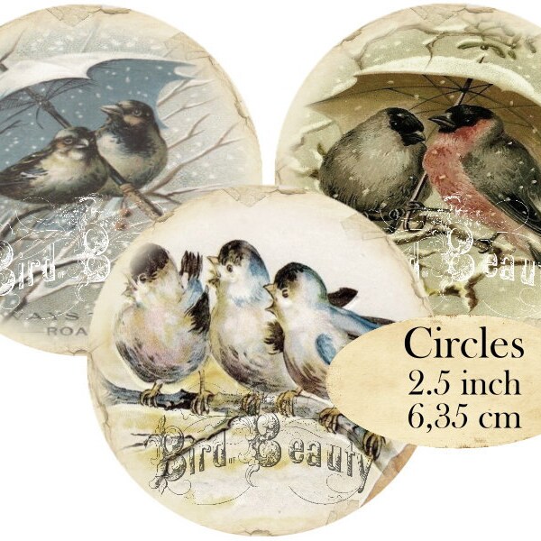 Circle Birds - Etsy