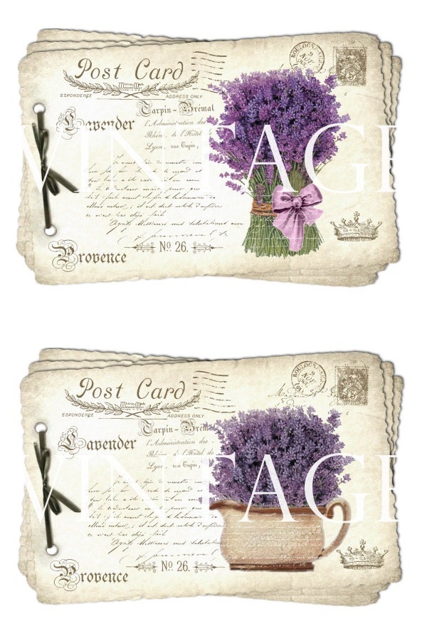 Postcard Lavender French Carte Postale Flowers Provence Shabby - Etsy