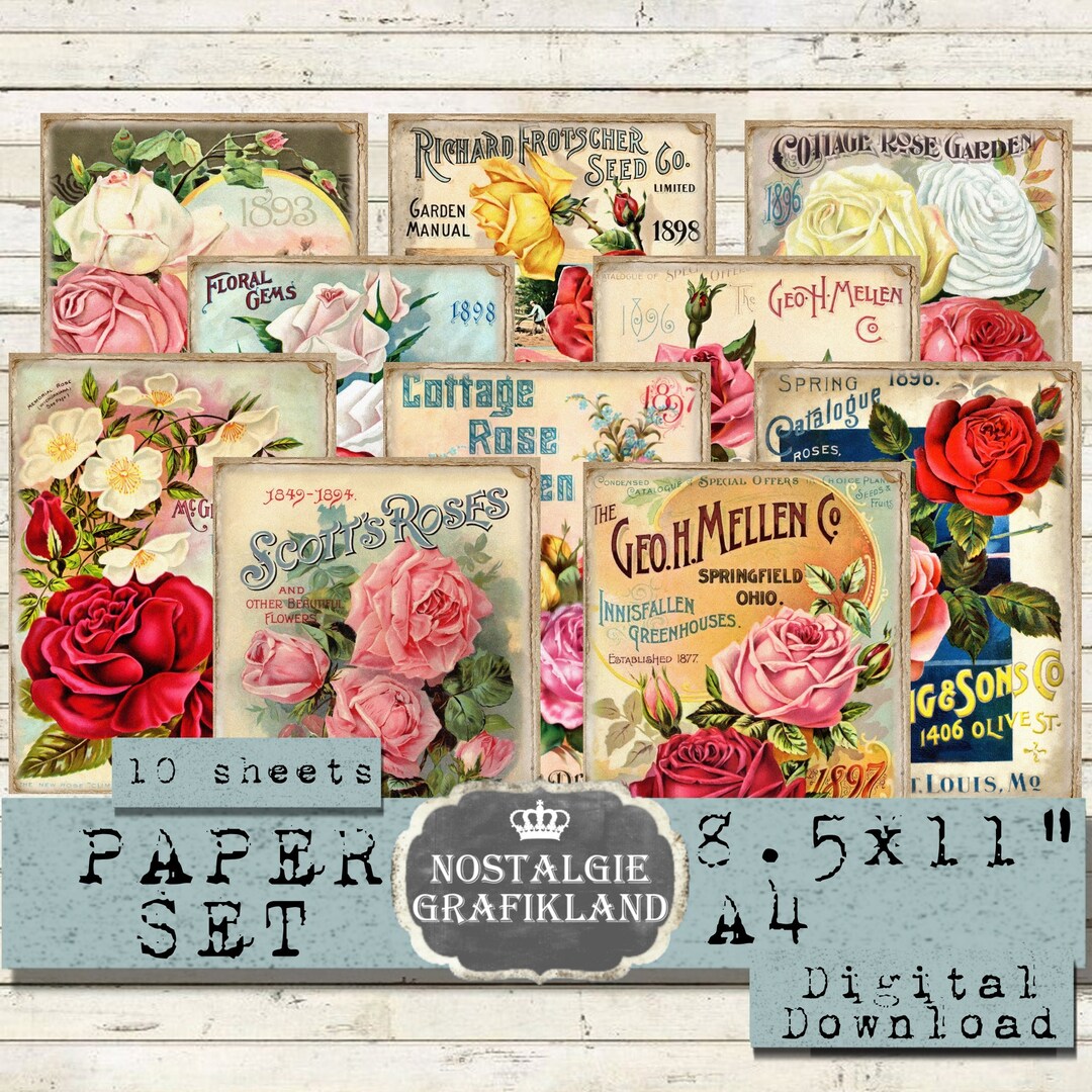 Roses Digital Papers Paper Pack Flowers Seeds Journal Vintage Large ...