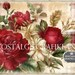 RED ROSES Papers Printable Landscape Horizontal Shabby Roses Scrapbook ...