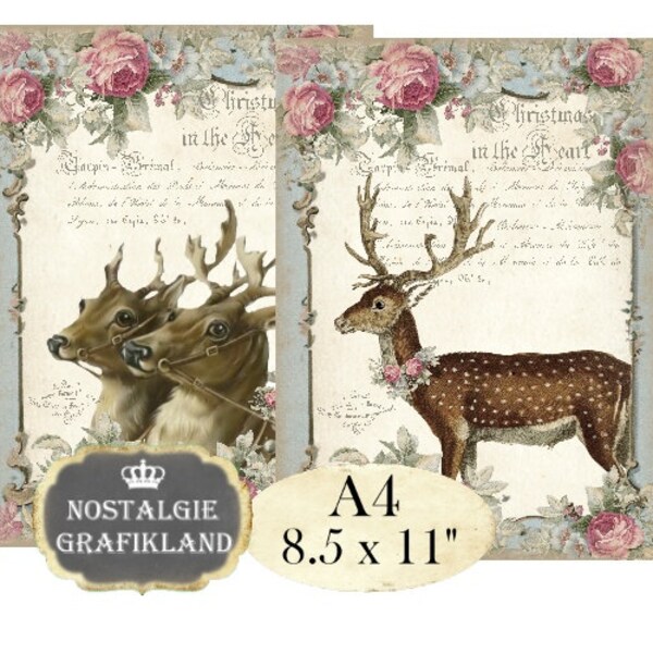 Reindeer Digital - Etsy