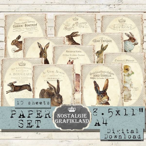 French Rabbit Image - Etsy
