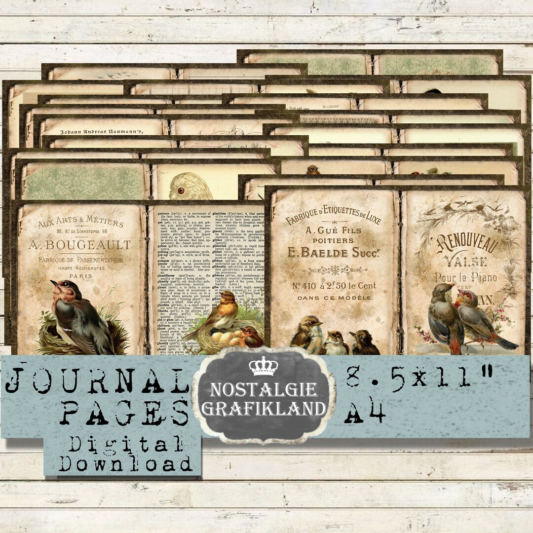 BIRDS Journal Pages Printable Antique Ornithology Garden Owl Robin ...