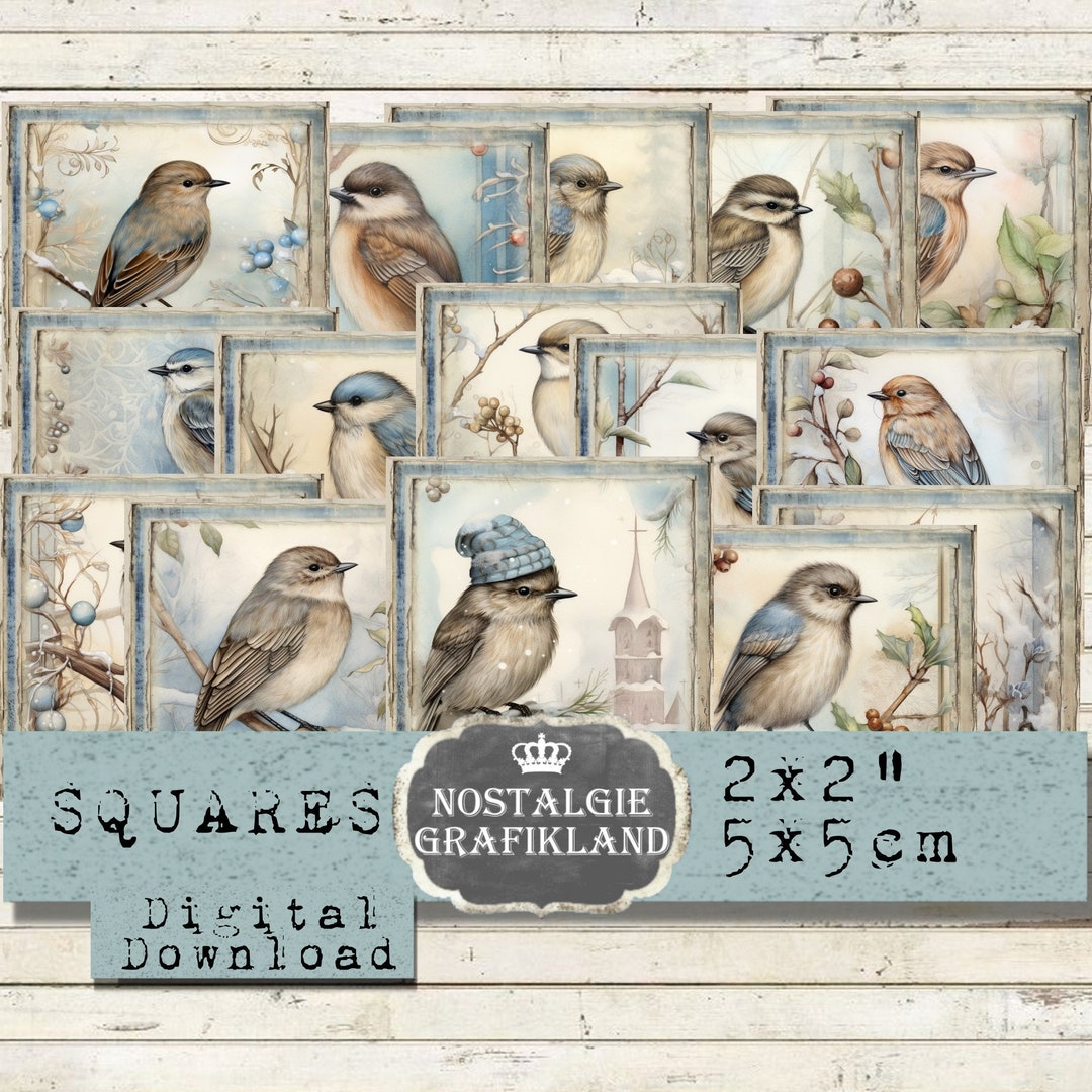 Winter Birds Printable Squares Snow Tit Robin Bluebird Journaling 2x2 ...