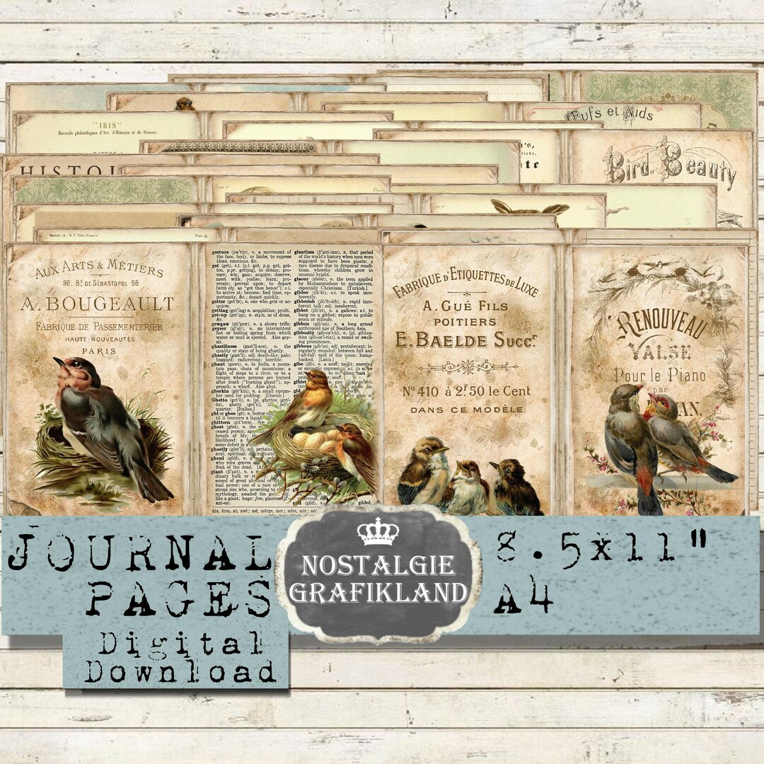 BIRDS Journal Pages Printable Antique Ornithology Vintage Bird Owl ...