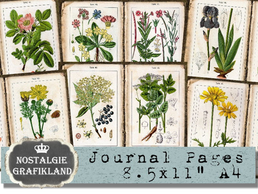BOTANICAL German Flora Journal Pages Vintage Botanic Floral - Etsy