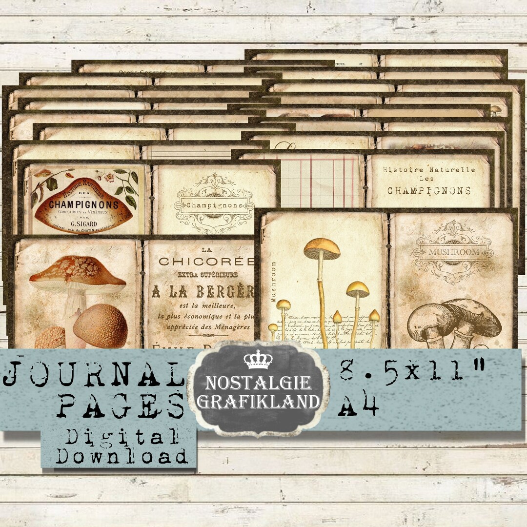 MUSHROOMS Journal Pages Toadstool Champignons Vintage Mycology Botanic ...