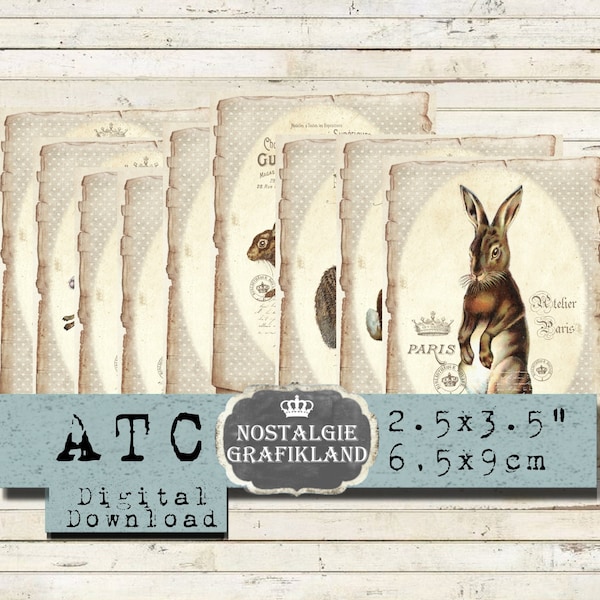 French Rabbit - Etsy