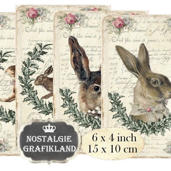 French Rabbit Printable - Etsy