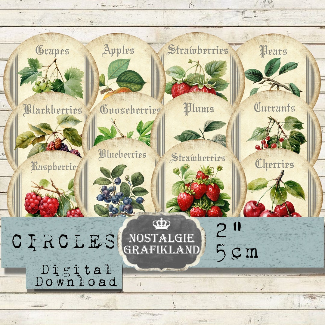 Fruits Circles Journaling Printable Jam Round Strawberries Blueberries ...