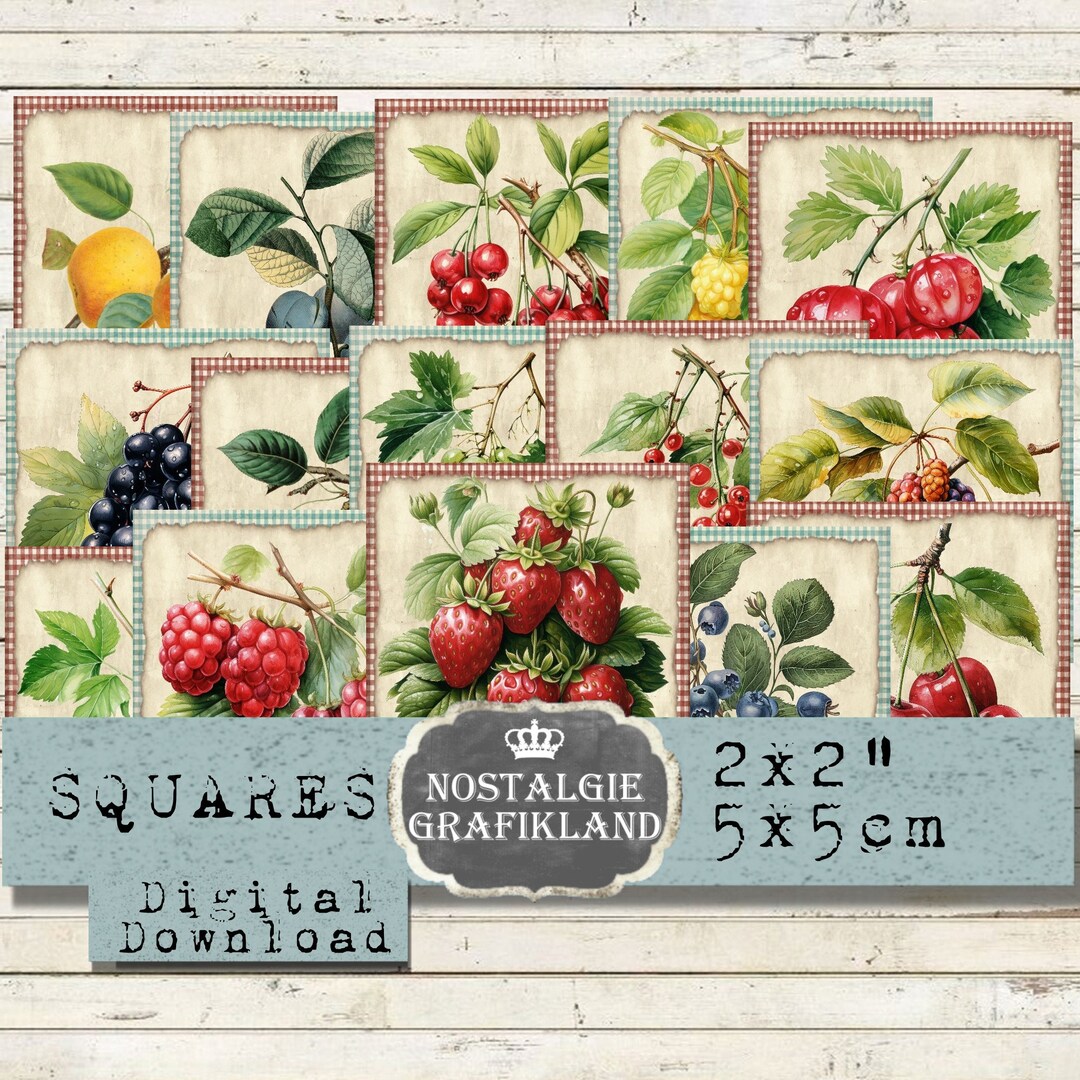 Fruits Printable Squares Journaling Twinchies Strawberries Blueberries ...