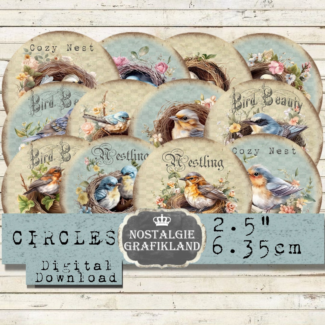Birds Circles Vintage Nestling Nest Journaling Springbirds Download ...