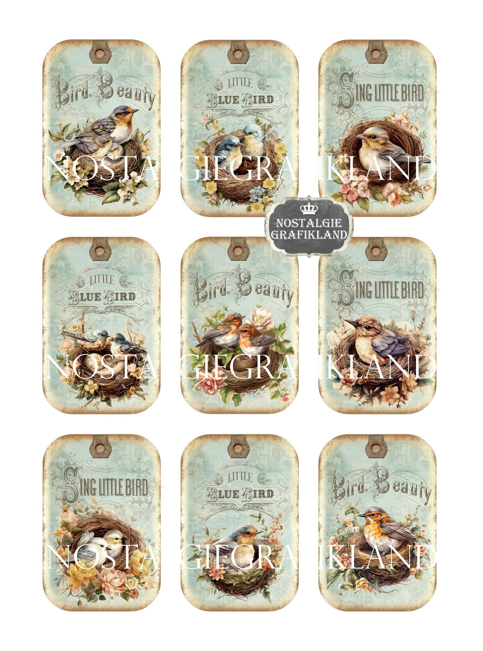 Birds Tags Young Bird Nest Nestling Spring Printable Journaling ...