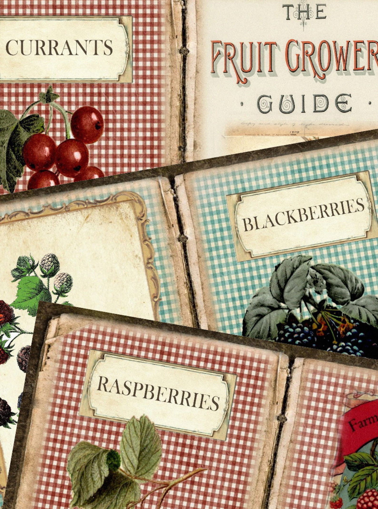 FRUITS Vintage Journal Pages Garden Book Ephemera Printable | Etsy