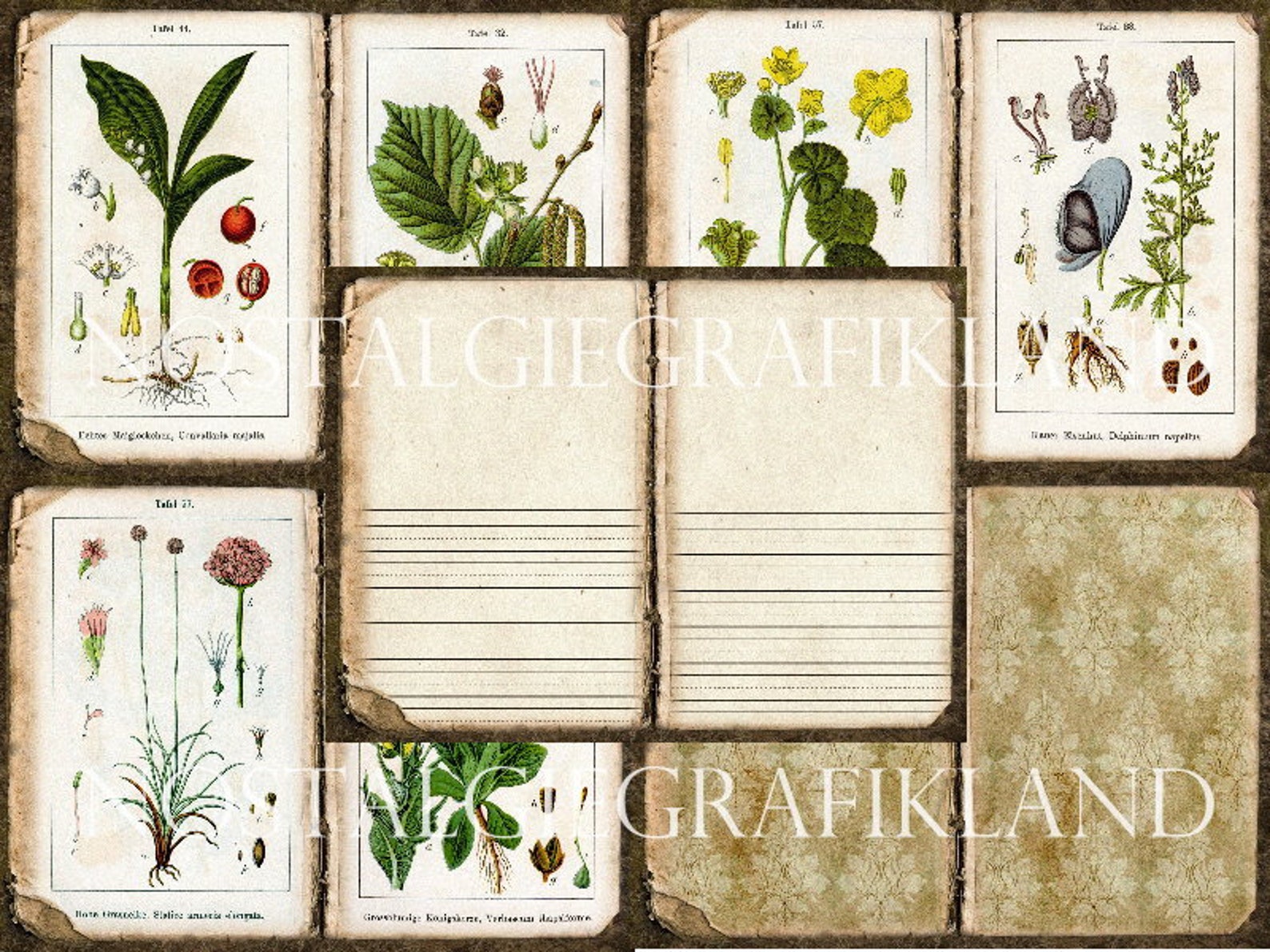 BOTANICAL German Flora Journal Pages Vintage Botanic Floral - Etsy