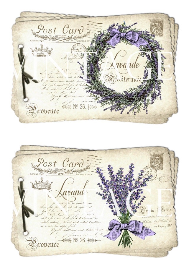 Postcard Lavender French Carte Postale Flowers Provence Shabby - Etsy
