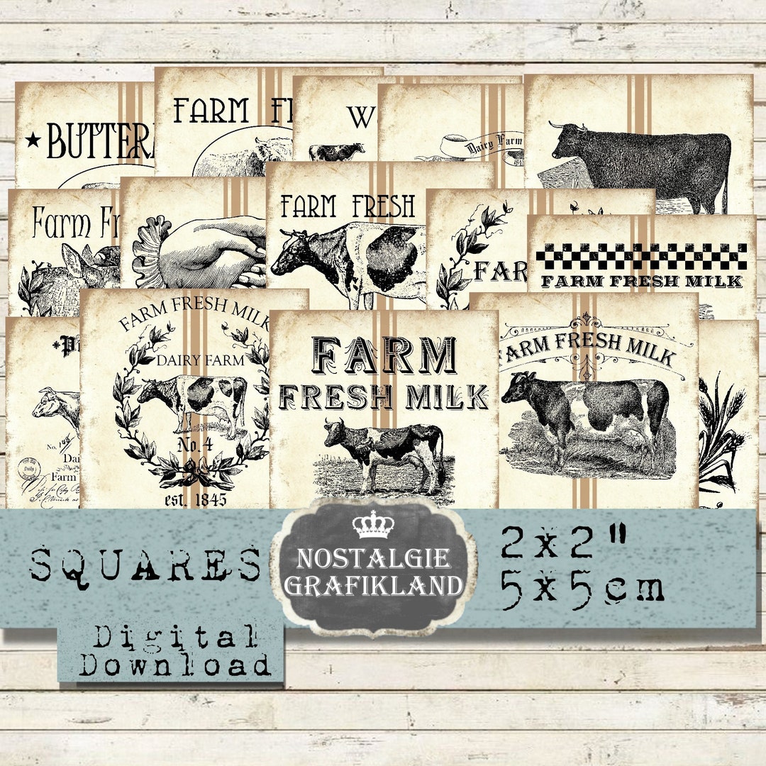 Farm Squares Cow Fresh Milk 2x2 Inch Squares Country Download Digital ...