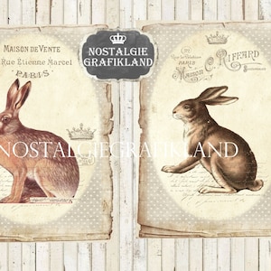 Rabbits Printable Set French Papers Hare Easter Bunnies Prints Vintage ...