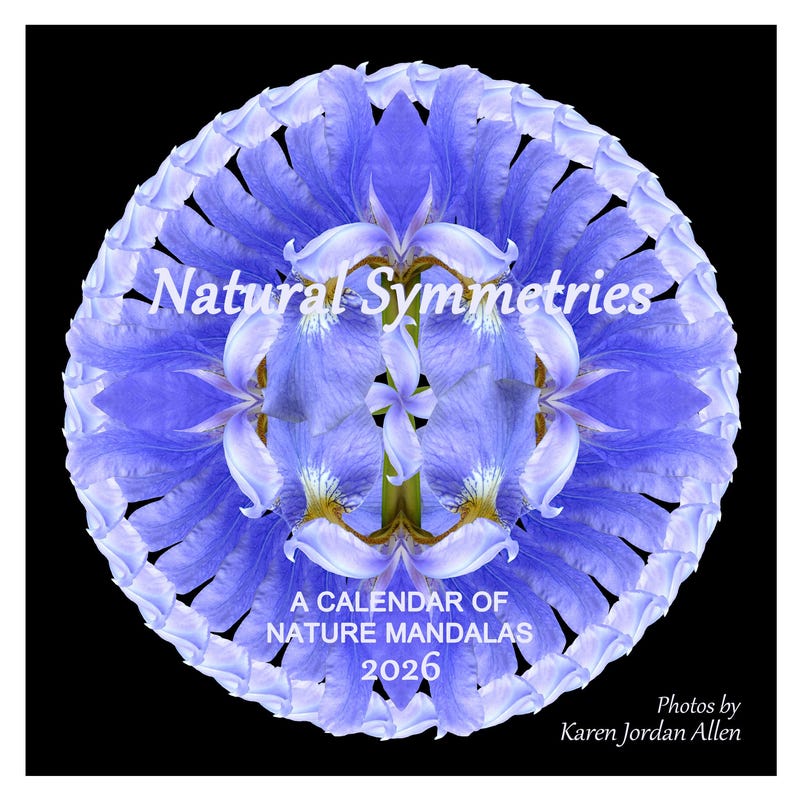 Nature and Spiritual Books - Etsy