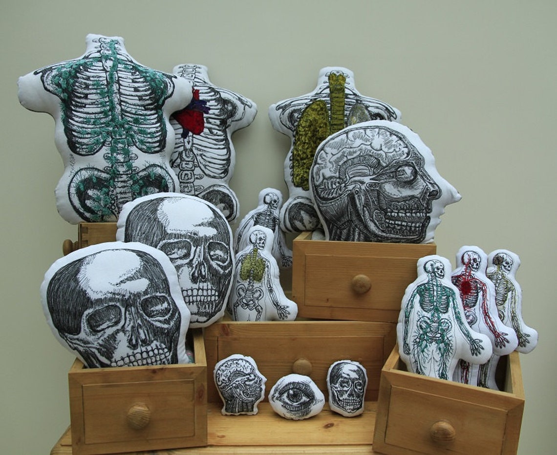 Cadaverous Cavities - Torso With Lymphatic System - Etsy