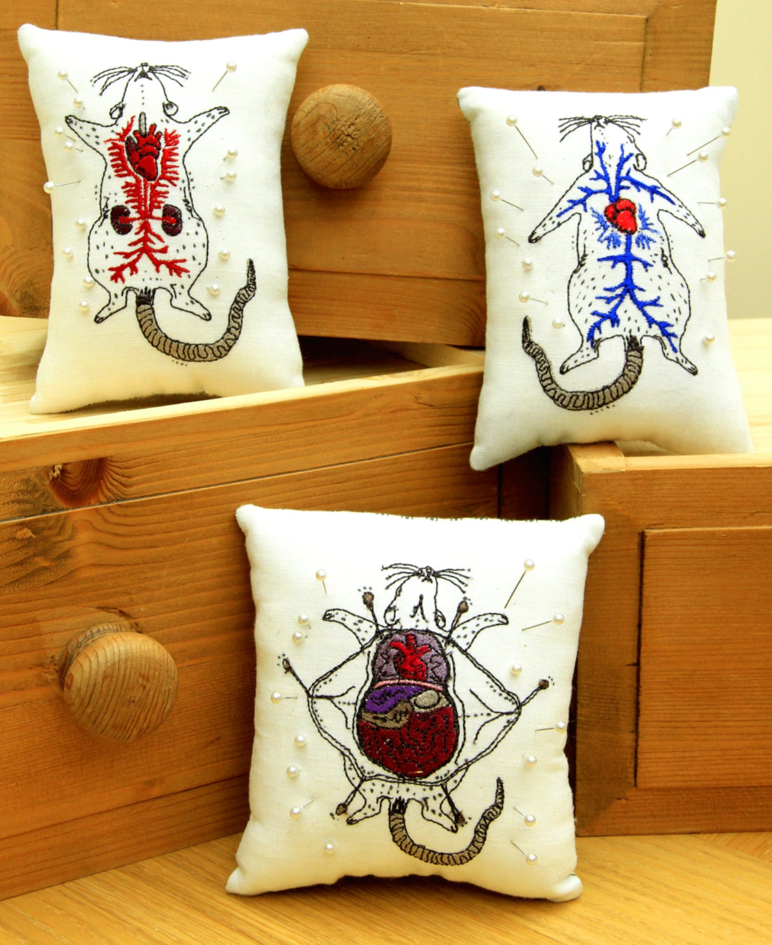 Dissected Human Pin Cushion Alternative Gift Heart Skeleton Creepy ...