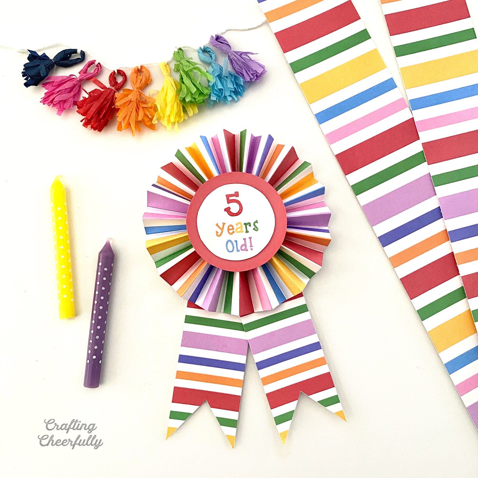 Printable Birthday Award Ribbon - Instant Digital Download - Etsy