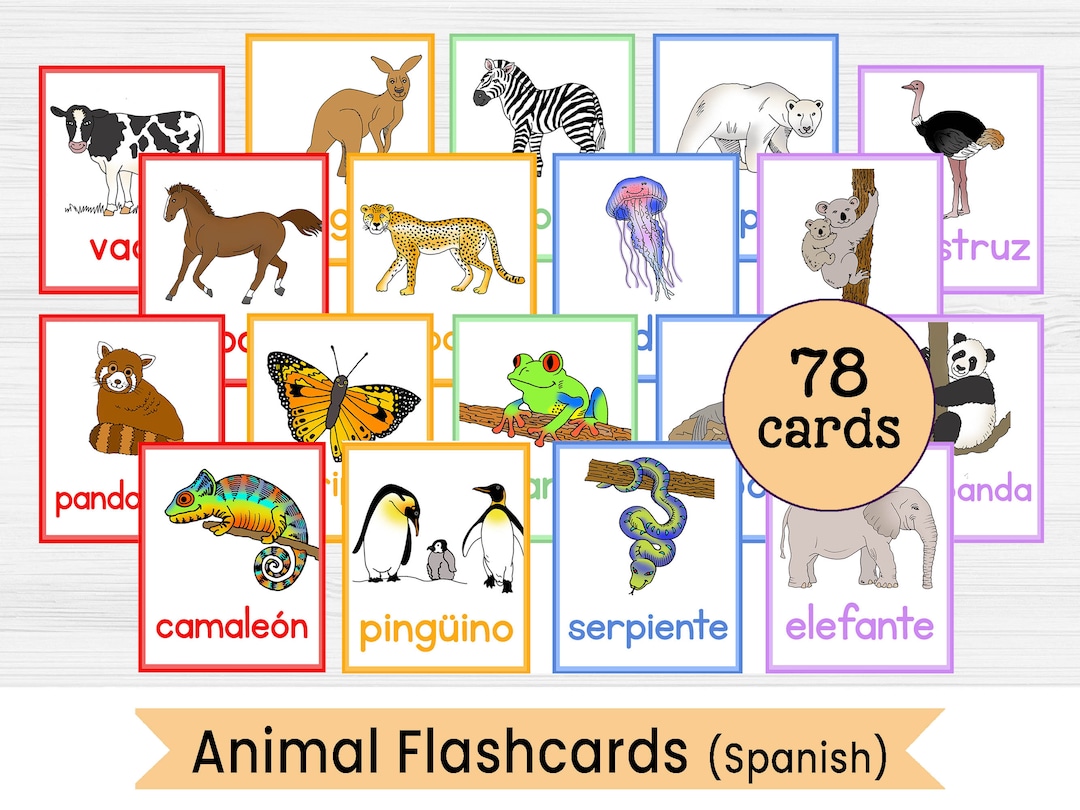 Tarjetas didácticas de animales en español 78 Tarjetas didácticas de ...